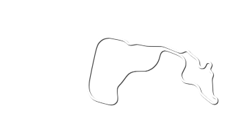 Dubai FM7 Full Circuit reverse | Track Mod | Assetto World